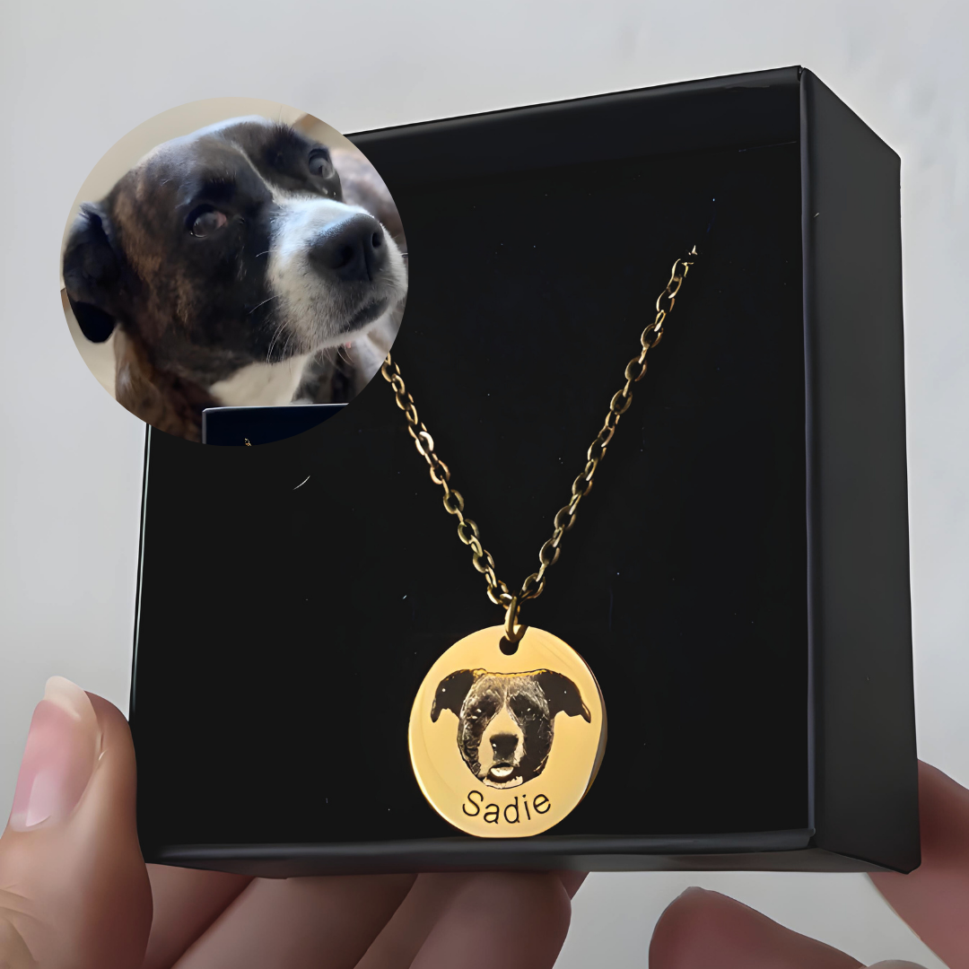 Paw Lux Gems